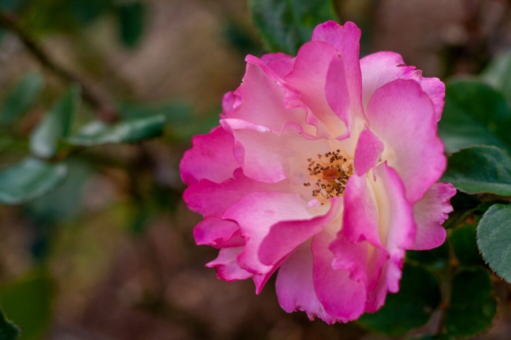 恥ずかしいこと | JUN SENSEI