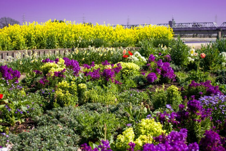 不安のない生き方 | JUN SENSEI