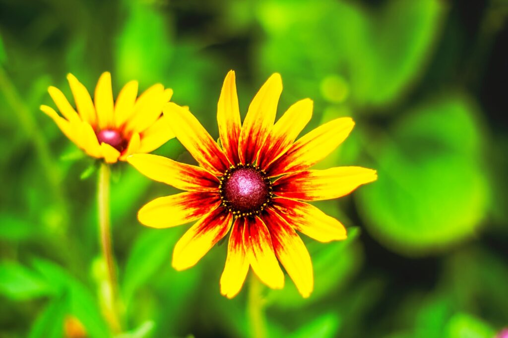 優しくなりなさい | JUN SENSEI